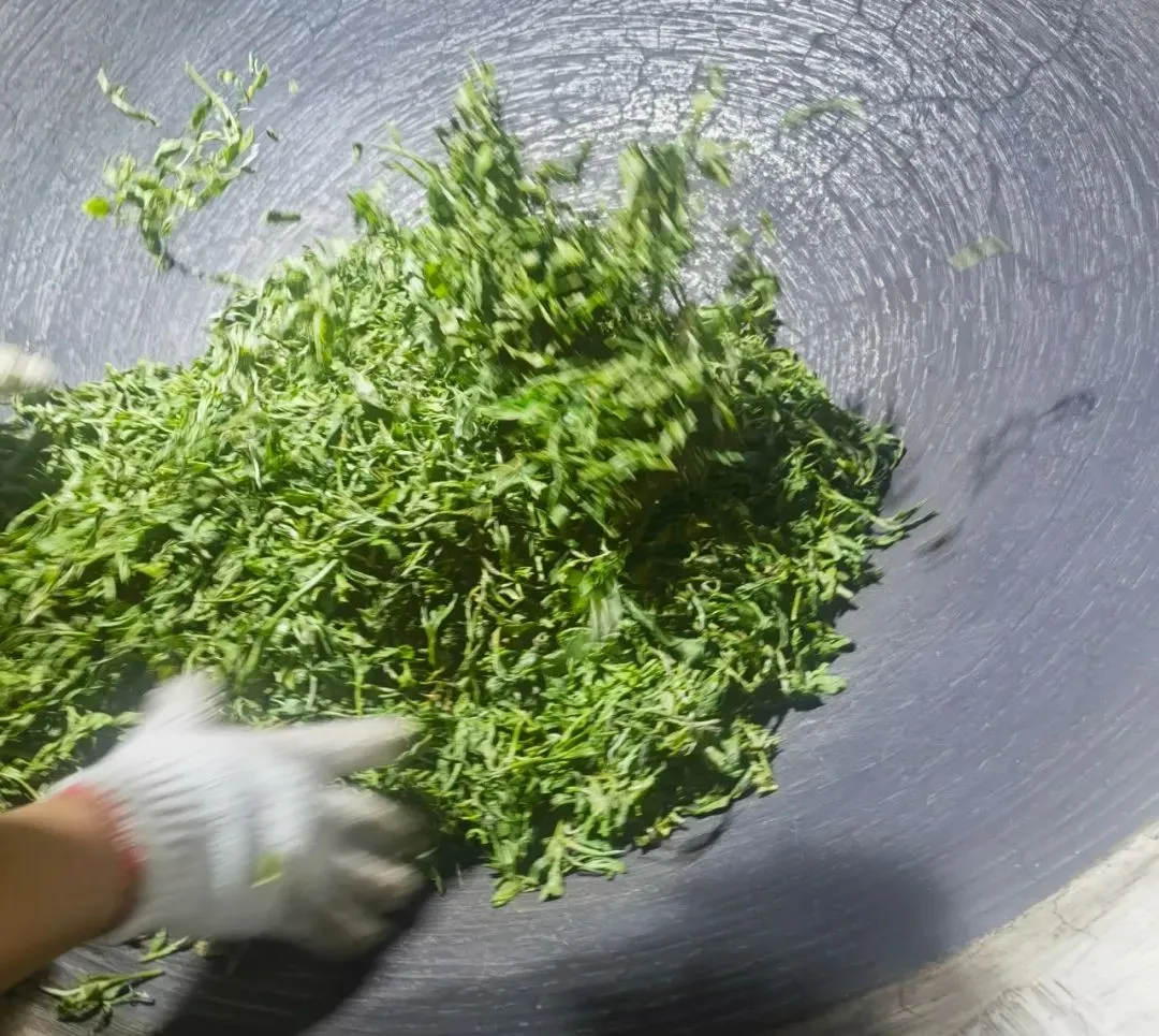 Raw Pu Erh Tea vs Green Tea: Aging Explained - FONG'S TEA