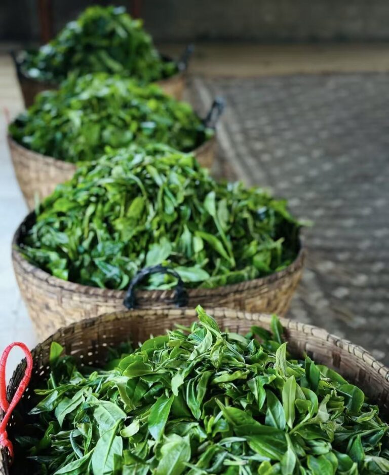 A Visual Guide to the Chinese Tea Set: 10 Essential Parts Explained ...